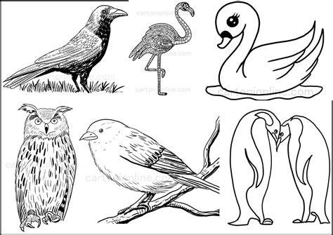 Página Para Colorear De Aves