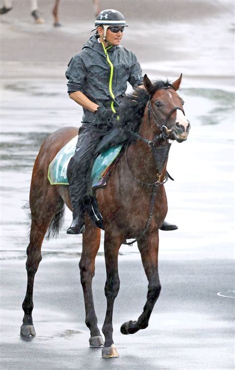【サウジアラビアrc】ドルチェモア、無傷連勝で母アユサンに産駒初タイトルをプレゼントだ スポーツ報知