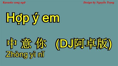 Karaoke Sc 中意你 Dj阿卓版 Hợp ý Em Zhong Yi Ni 咖菲猪老三儿 Youtube