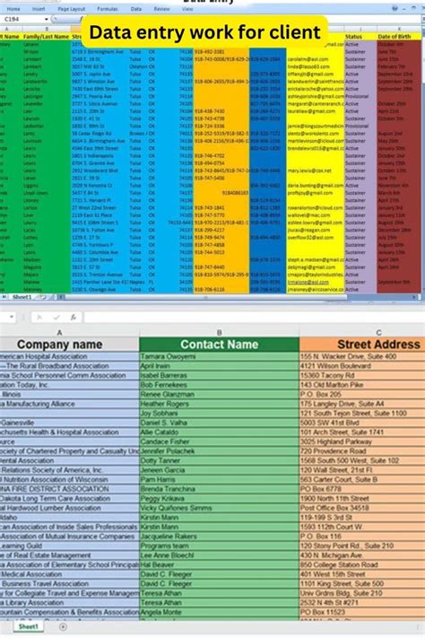 Data Entry Business Software Data Entry Professional Data Entry