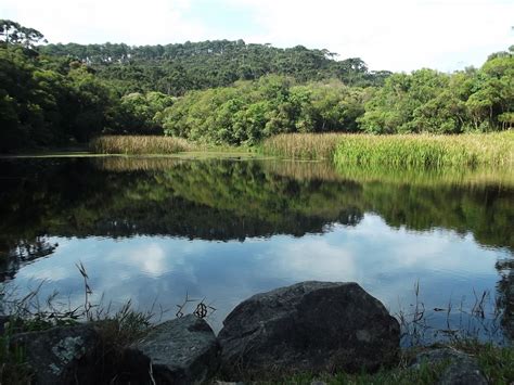 Abeta Summit 2022 A Natureza Em São Paulo Vai Te Surpreender