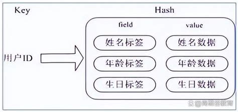 redis数据库安装图形管理界面及数据类型与操作 redis图形化管理工具安装 CSDN博客