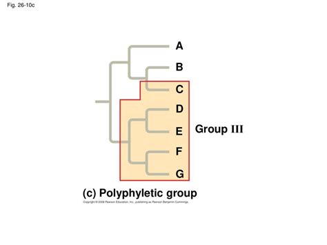 Fig Ppt Download