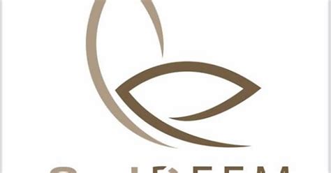 Deem Wellness Chateau Logo Imgur