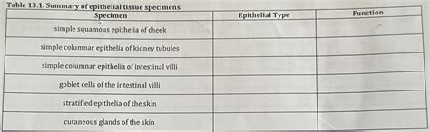 Solved Table 131 ﻿summary Of Epithelial Tissue