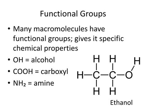 Ppt Macromolecules Powerpoint Presentation Free Download Id1597421 Ppt Macromolecules Powerpoint Presentation Free Download Id1597421