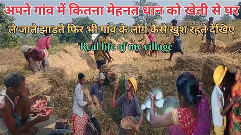 Real Life In My Villagekitna Mehnt Kheti Se Dhan Ko Ghr Le Jatefir V