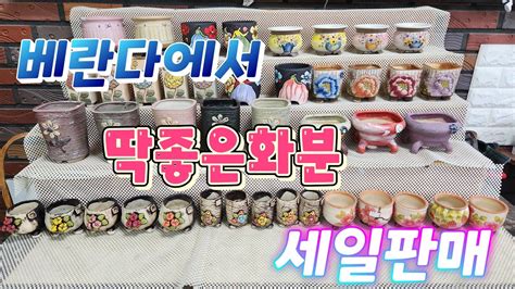 4월 23일 베란다 딱좋은 화분 세일판매 Youtube