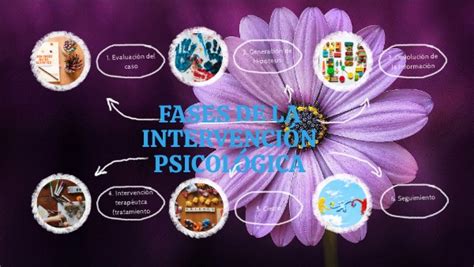 Fases De La Intervención Psicológica