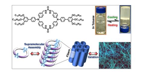 Supramolecular Gelation Of Triphenylamine Bis Urea Macrocycles In Toluene Macromolecules
