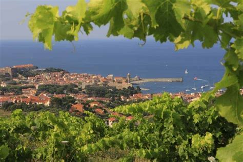 Languedoc
