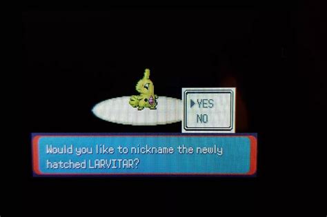 Gen3 Shiny Larvitar In Emerald Completes My Full Odds Emerald Egg