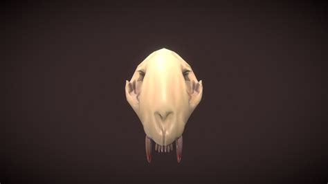 B C HubinShannaCharaBasicsArtTJ SkullSketchfab D Model By Shannahubin D B C Sketchfab