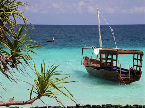 Zanzibar Seafari To Mnemba Atoll Full Day Tour Gallery Tours Safaris
