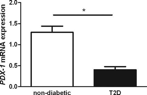 Pdx 1 Mrna Expression Levels In Human Pancreatic Islets From