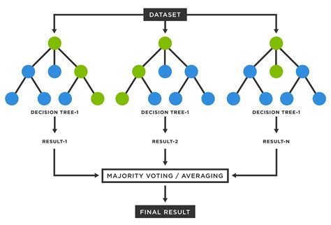 Algoritmi Di Machine Learning Guida Introduttiva Per Comprendere I