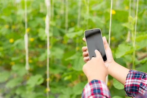 Premium Photo Internet Of Things Iot With Farming Smart Concept