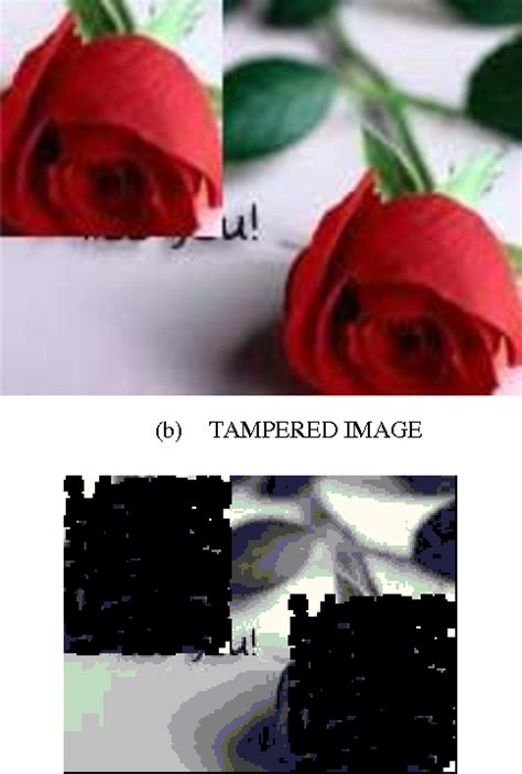 Figure 4 From Detecting Copy Move Forgery Using Dct Semantic Scholar