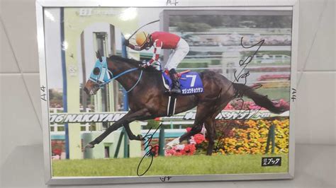 【未使用に近い】2001年中山グランドジャンプ 全頭現地単勝馬券の落札情報詳細 ヤフオク落札価格情報 オークフリー