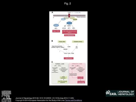 Vicente Arroyo Richard Moreau Rajiv Jalan Pere Ginès ppt download