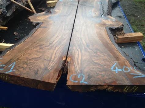 Sorting New Walnut Stock Prime Timber