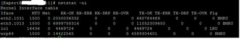 CheckPoint VSX Cluster High CPU Check Point CheckMates
