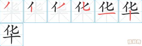 华的笔顺 笔画 繁体字 组词典