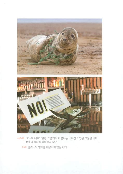 알라딘 미리보기 과학을 달리는 십대 환경과 생태