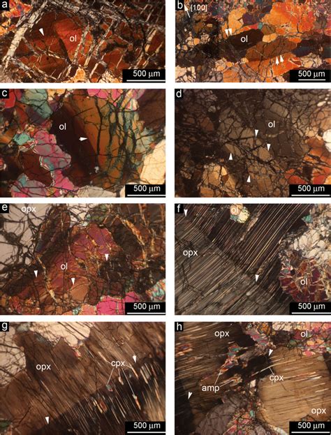 Microstructural Peculiarities Of Olivine And Orthopyroxene Grains
