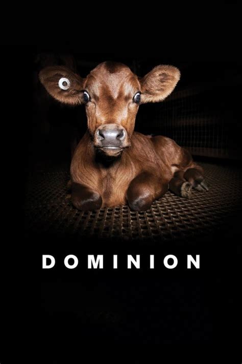 Docur Watch The Best Free Documentaries Online Docur