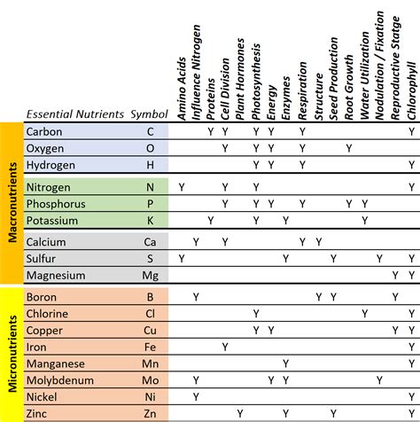 Understanding Crop Nutrients Ilsoyadvisor