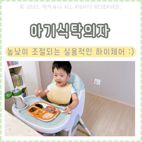 아기 이유식 의자 부스터 겸용 하이체어 식탁의자 네이버 블로그