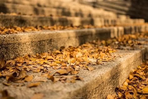 資料結構筆記 1 Array 陣列 Linked List 鏈結串列