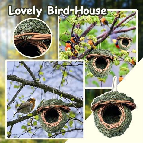 Different Types Of Bird Houses