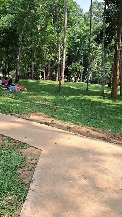 บรรยากาศดีๆ รู้สึกปลอดโปร่ง Youtube
