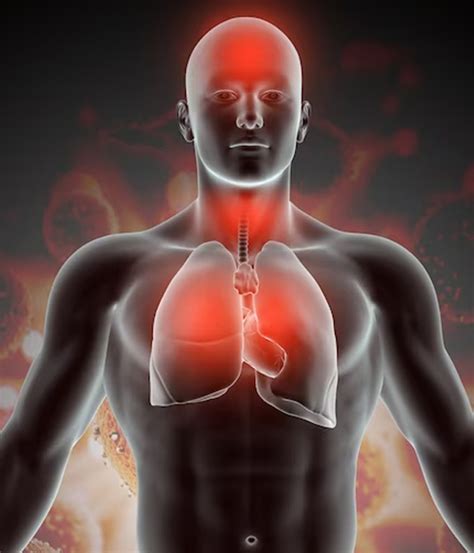 Biofire Respiratory Panel Teleradwin