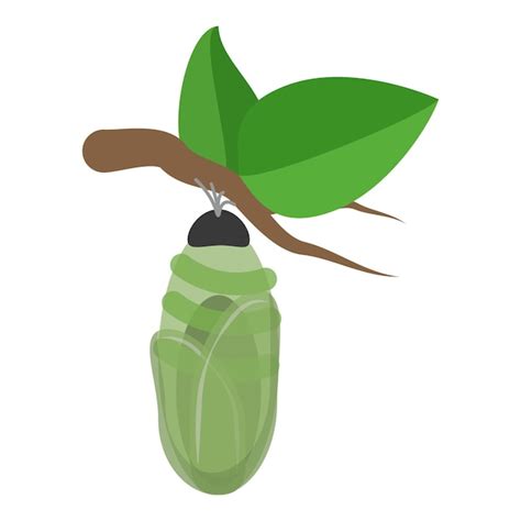 D Ilustraci N Isom Trica De Vectores Planos De Las Etapas De La