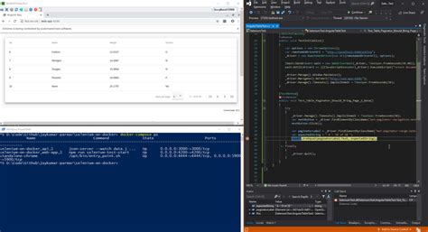 Wait What Gui Testing Inside Docker Container