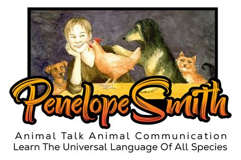 Do You Want To Be An Animal Communicator The Animal Communicator Blog