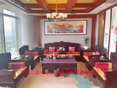 公司详述 湖南众盈中小企业融资担保有限公司