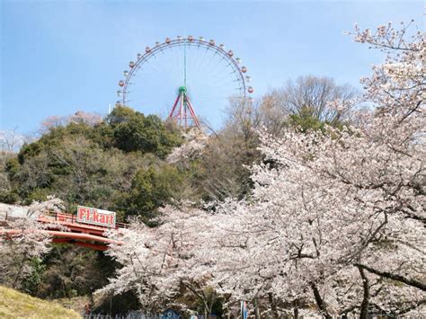 相模湖の遊園地で「お花見ランニング大会」初開催 Bbqパーティーも 相模原町田経済新聞