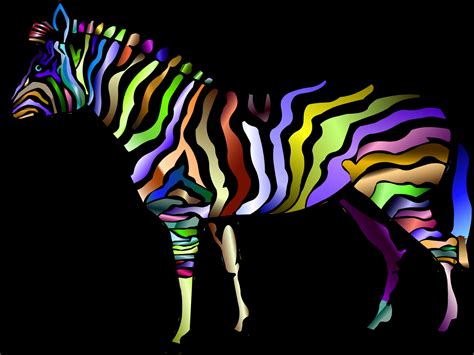 Download Colorful Zebra Artwork
