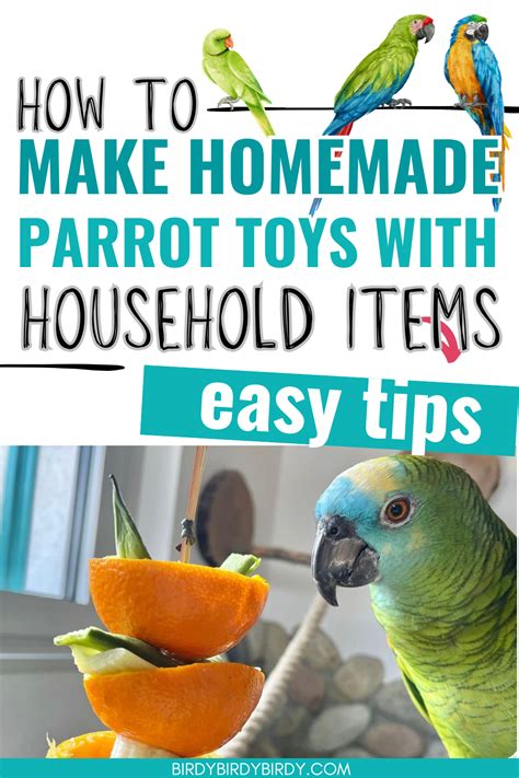 How To Make Homemade Parrot Toys Out Of Household Items