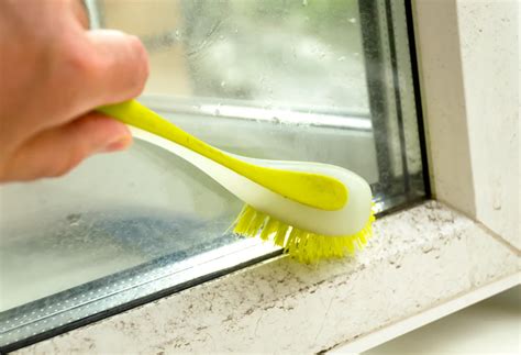 How To Remove Mould On Windows All Clean Services