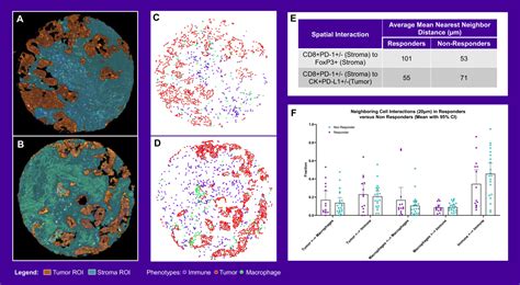 High Plex Spatial Signatures Can Predict Responses To Immunotherapies