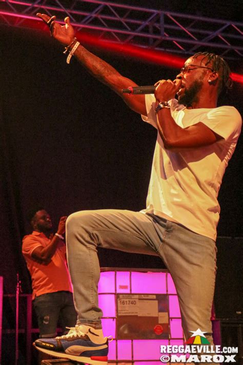 Photos Stylo G Collie Buddz Bunji Garlin And Fay Ann Lyons 8132022