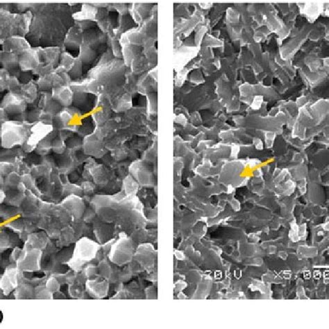 Sem Micrograph Showing The Intergranular Fractures In A Si3n4 And B