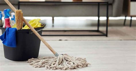 Deep Cleaning Vs Regular Cleaning Maid In Edmonton