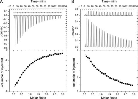 Isothermal Titration Calorimetry Of A Nt104 372 C Foot And Eg Download Scientific Diagram