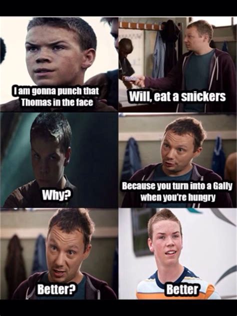 The Maze Runner Maze Runner Newt Maze Runner Maze Runner Movie